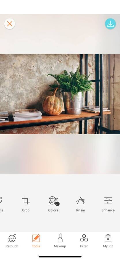 5 editing tricks to take pictures of plants at home