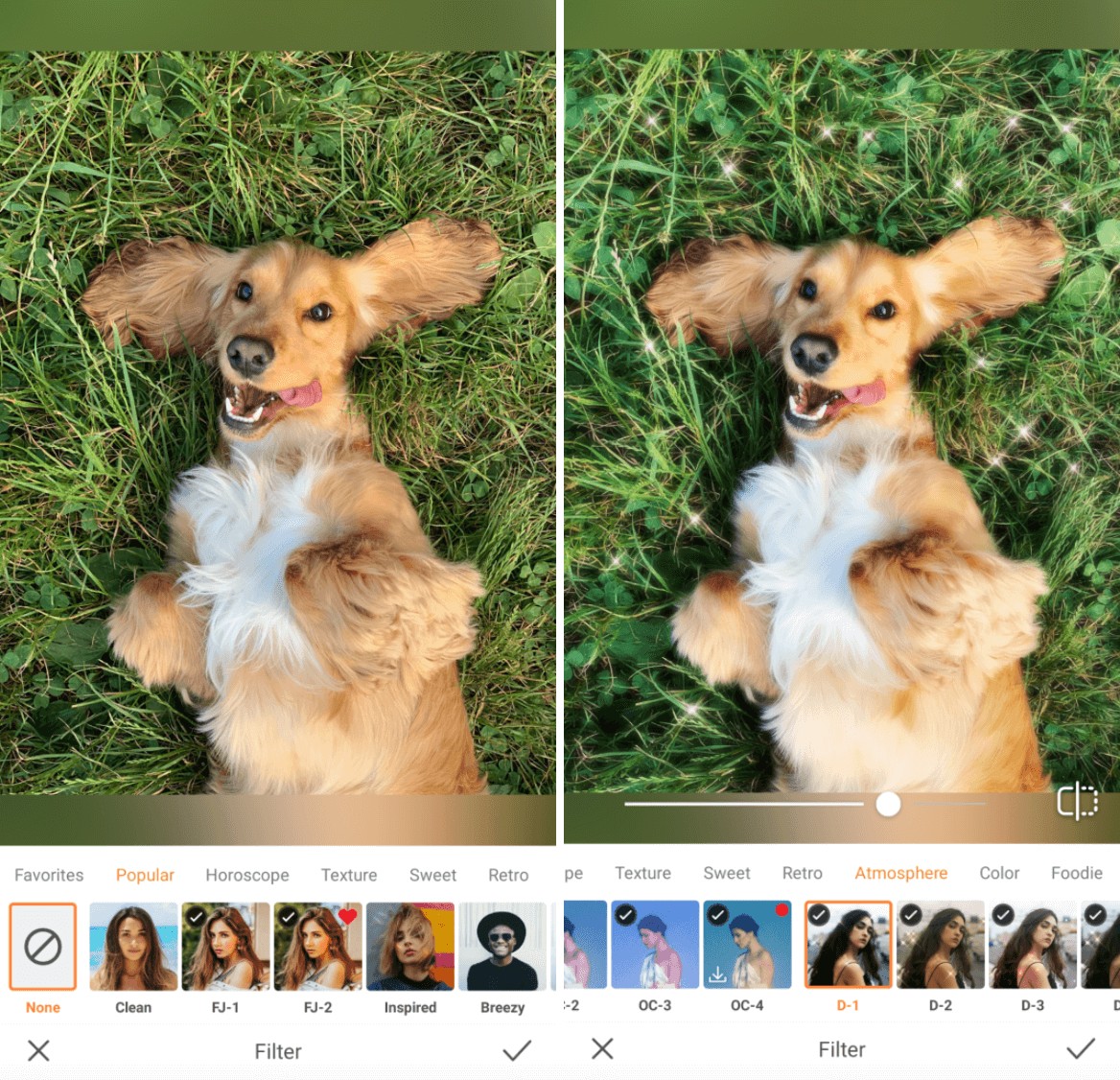 How to Edit the Cutest Pet Photos with AirBrush